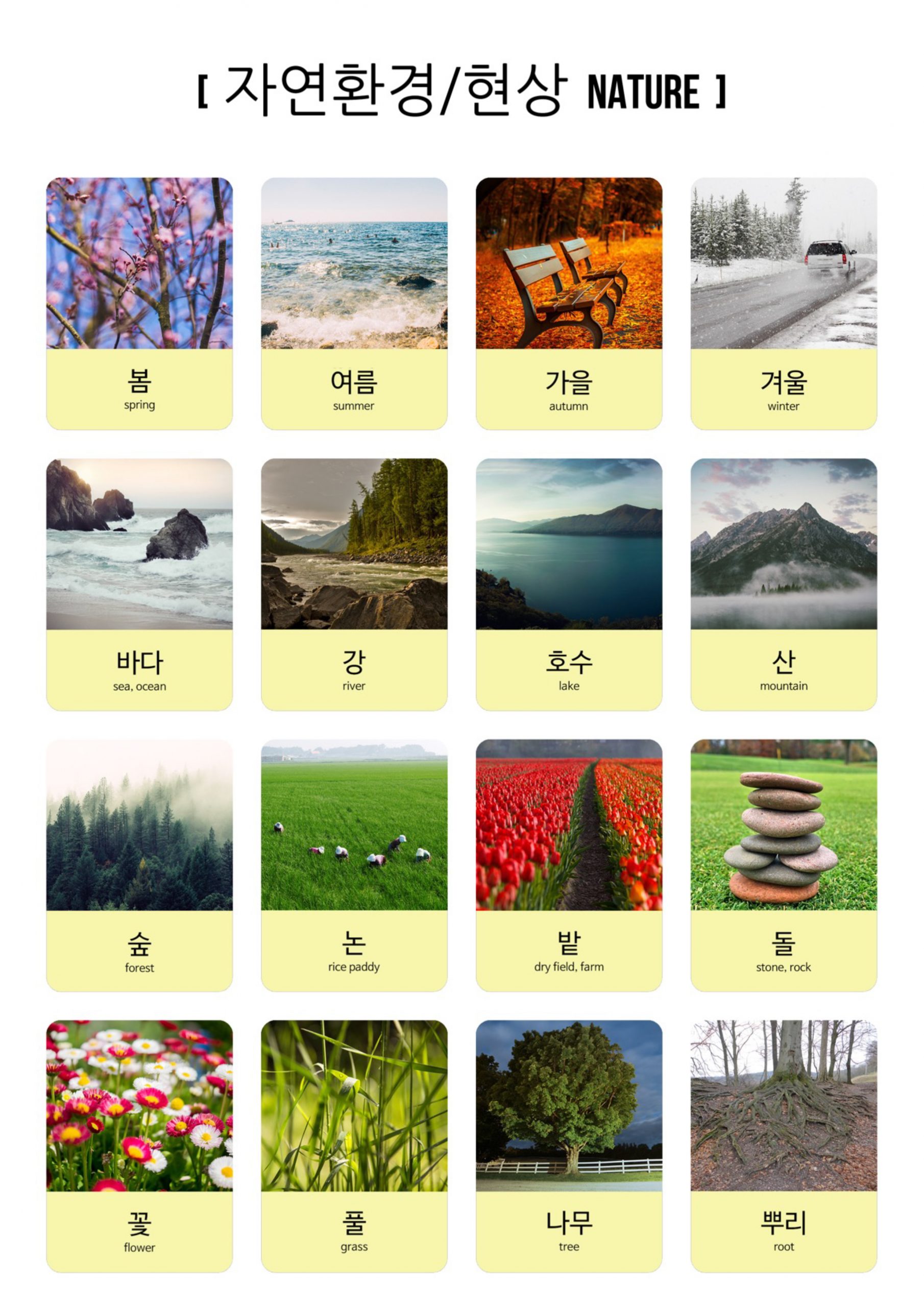 [eBook] Korean Flashcards: 720 Everyday Words in 31 Days – Learn Korean ...